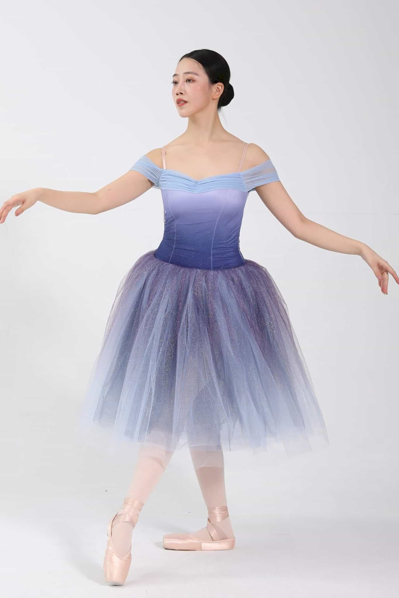 Ballet Archives - Page 2 of 2 - Diva Costumes